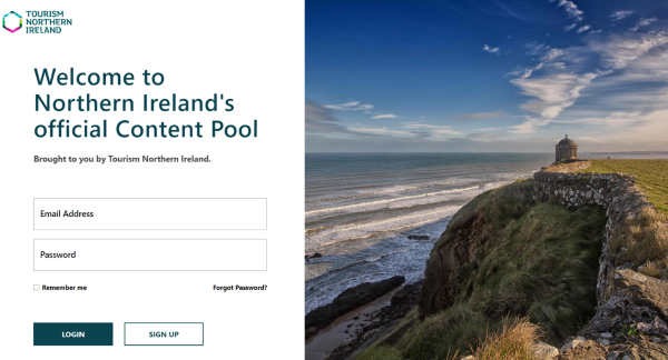 Summer ‘Lunch & Learn’ – Dive into the Content Pool